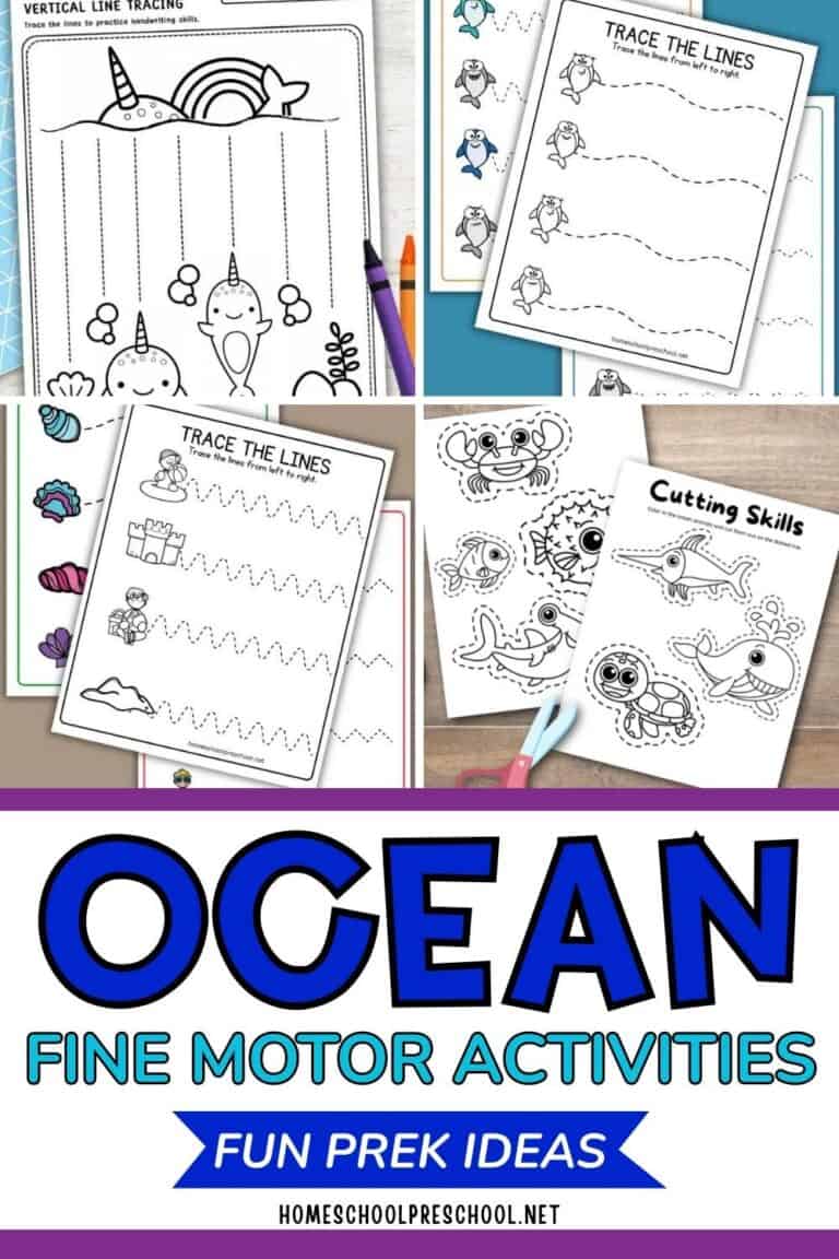 Ocean Fine Motor Activities for Preschoolers (Quiet Time Ideas)